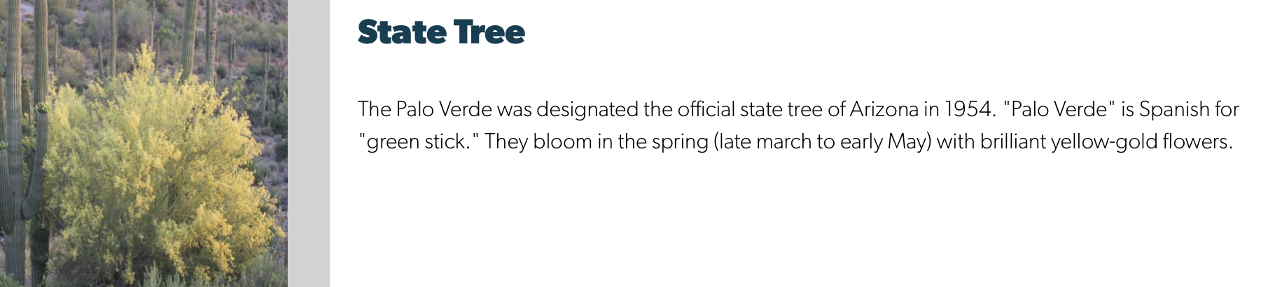 Arizona : The Arizona Native Plant Society