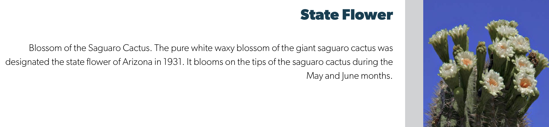 Arizona : The Arizona Native Plant Society