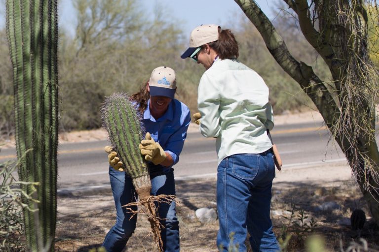 Tucson : The Arizona Native Plant Society