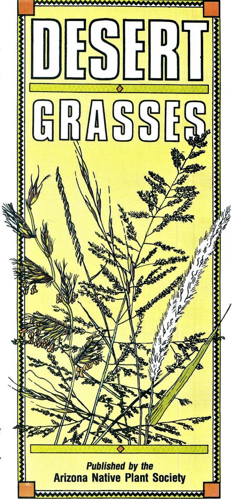 Native Gardening : The Arizona Native Plant Society