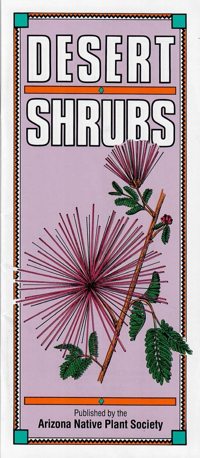 Native Gardening : The Arizona Native Plant Society