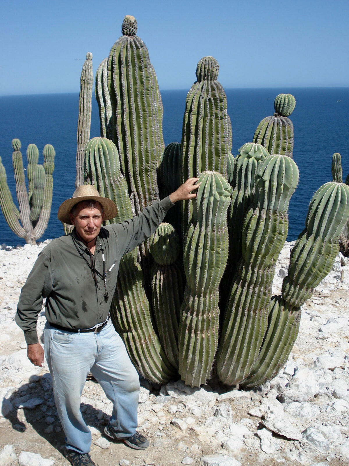 Richard Stephen Felger (1934-2020) : The Arizona Native Plant Society
