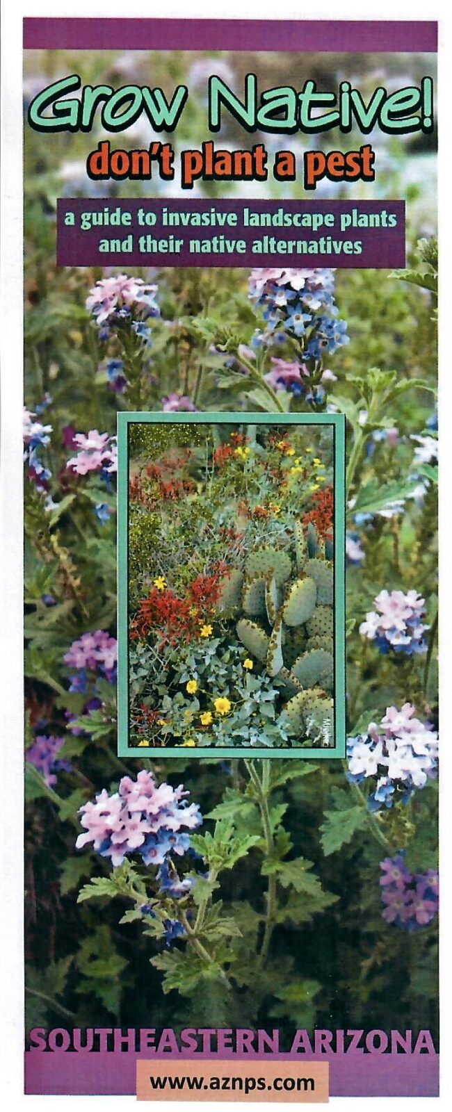 Native Gardening : The Arizona Native Plant Society