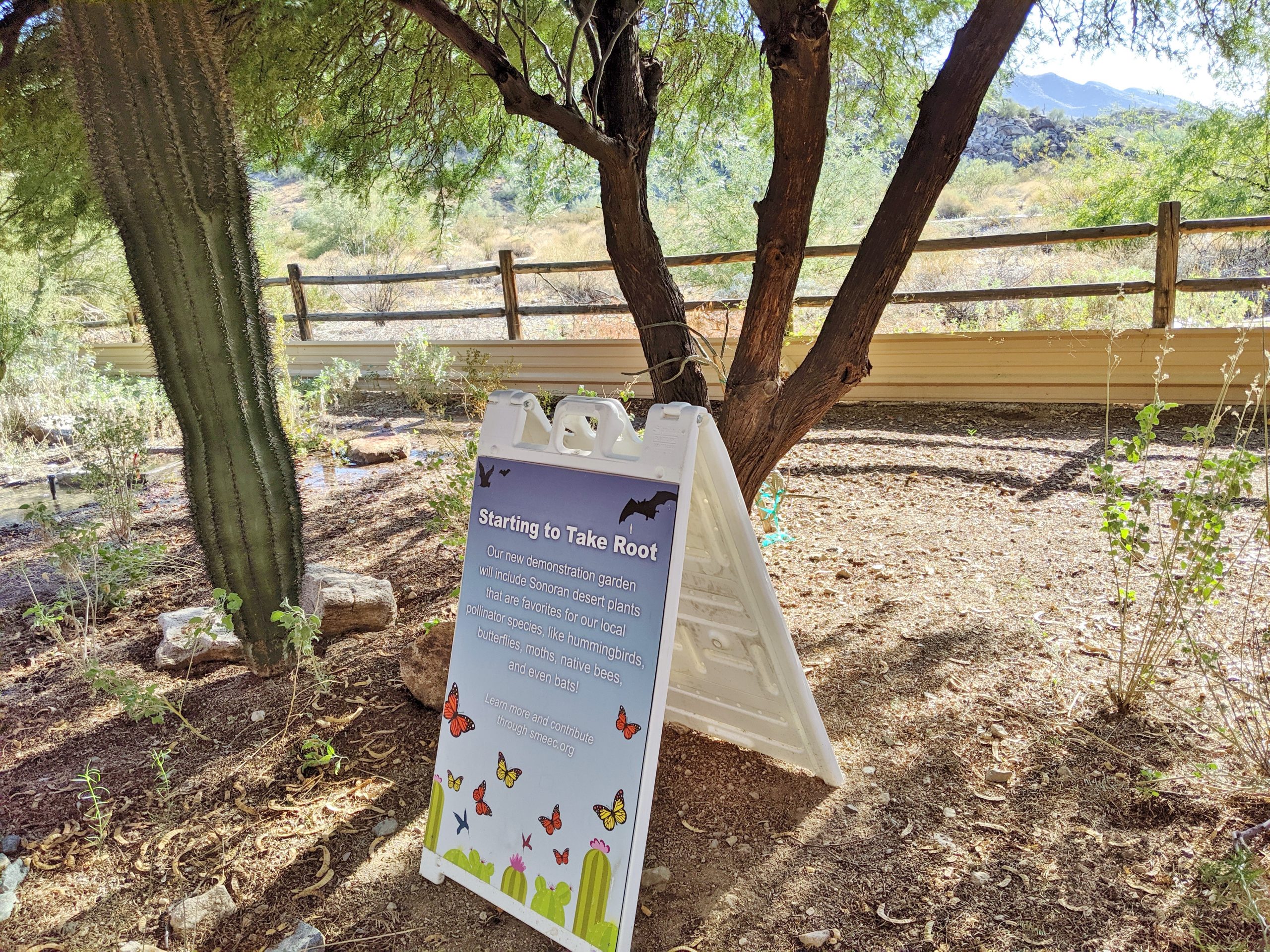 Phoenix : The Arizona Native Plant Society