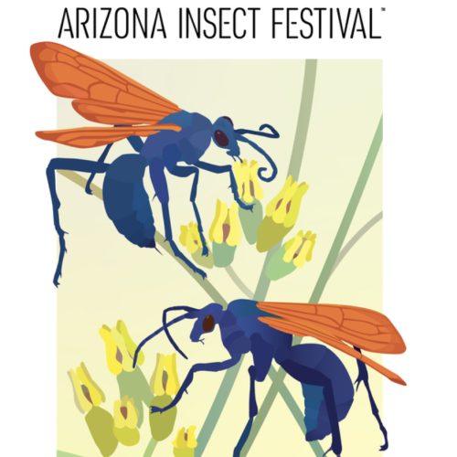 The Arizona Native Plant Society