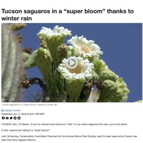 The Arizona Native Plant Society