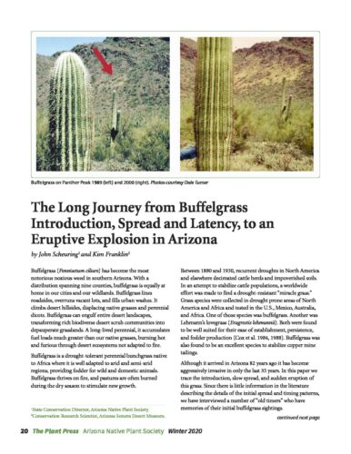 The Long Journey from Buffelgrass : The Arizona Native Plant Society