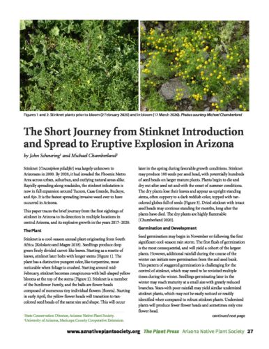 The Short Journey from Stinknet Introduction and Spread to Eruptive ...