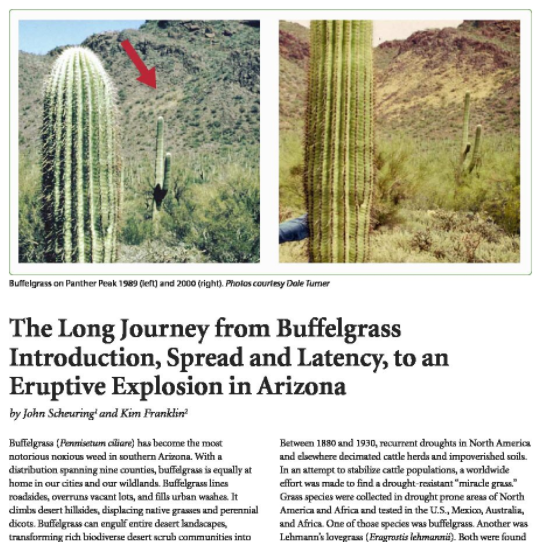 Brochures and Other Printed Native Plant Information : The Arizona ...