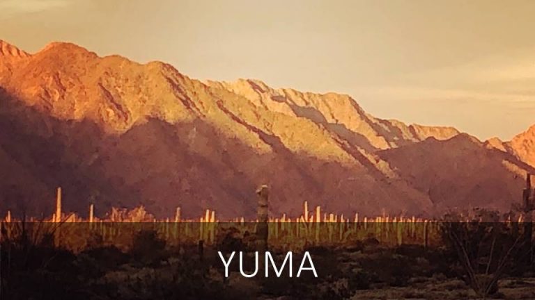 Chapters : The Arizona Native Plant Society