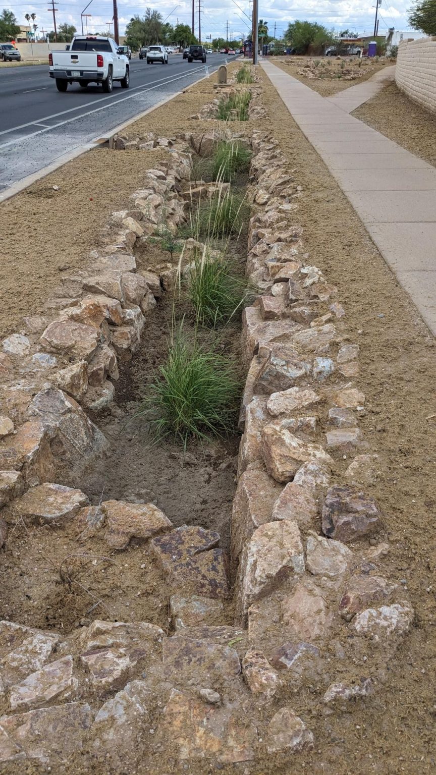 Tucson Chapter Field Trip: Rainwater Harvesting and Native Plants : The ...