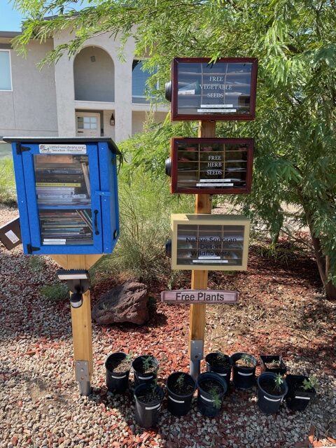 Little Free “Seed” Library : The Arizona Native Plant Society